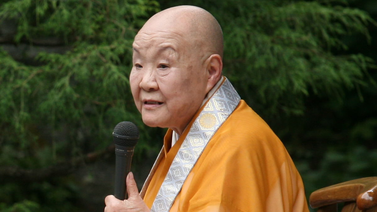 ゼクス Z/X E28/P37-022 ファースト・ステップ エンジュ (PR プロモ) シークレット☆フェスティバル！！ (E-28) コレクション